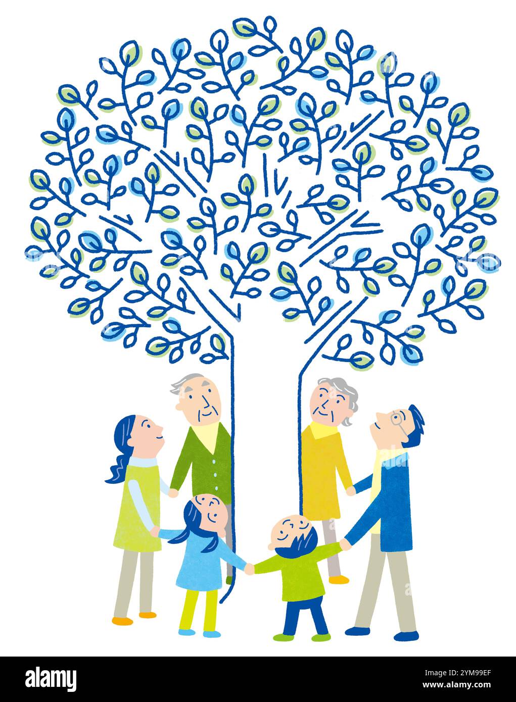 Family tree looking to the future Stock Photo - Alamy
