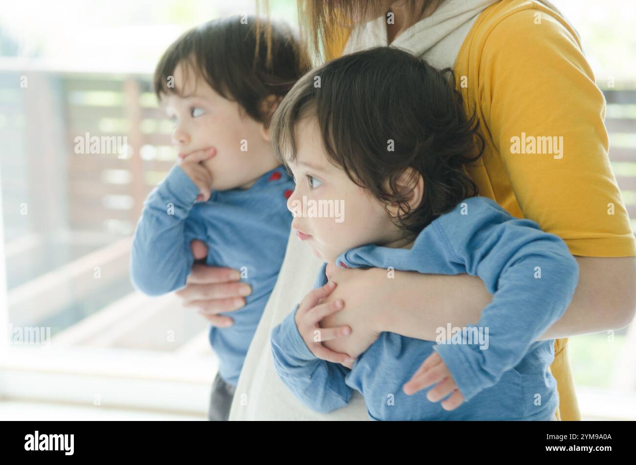 Twin boys being carried Stock Photo - Alamy