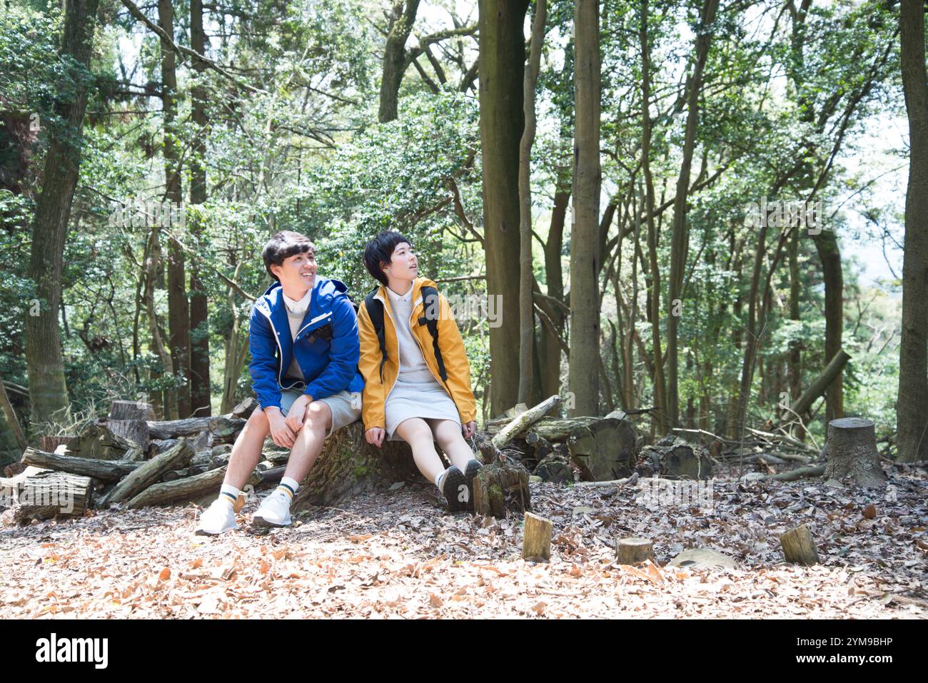 Sit on stump hi-res stock photography and images - Alamy