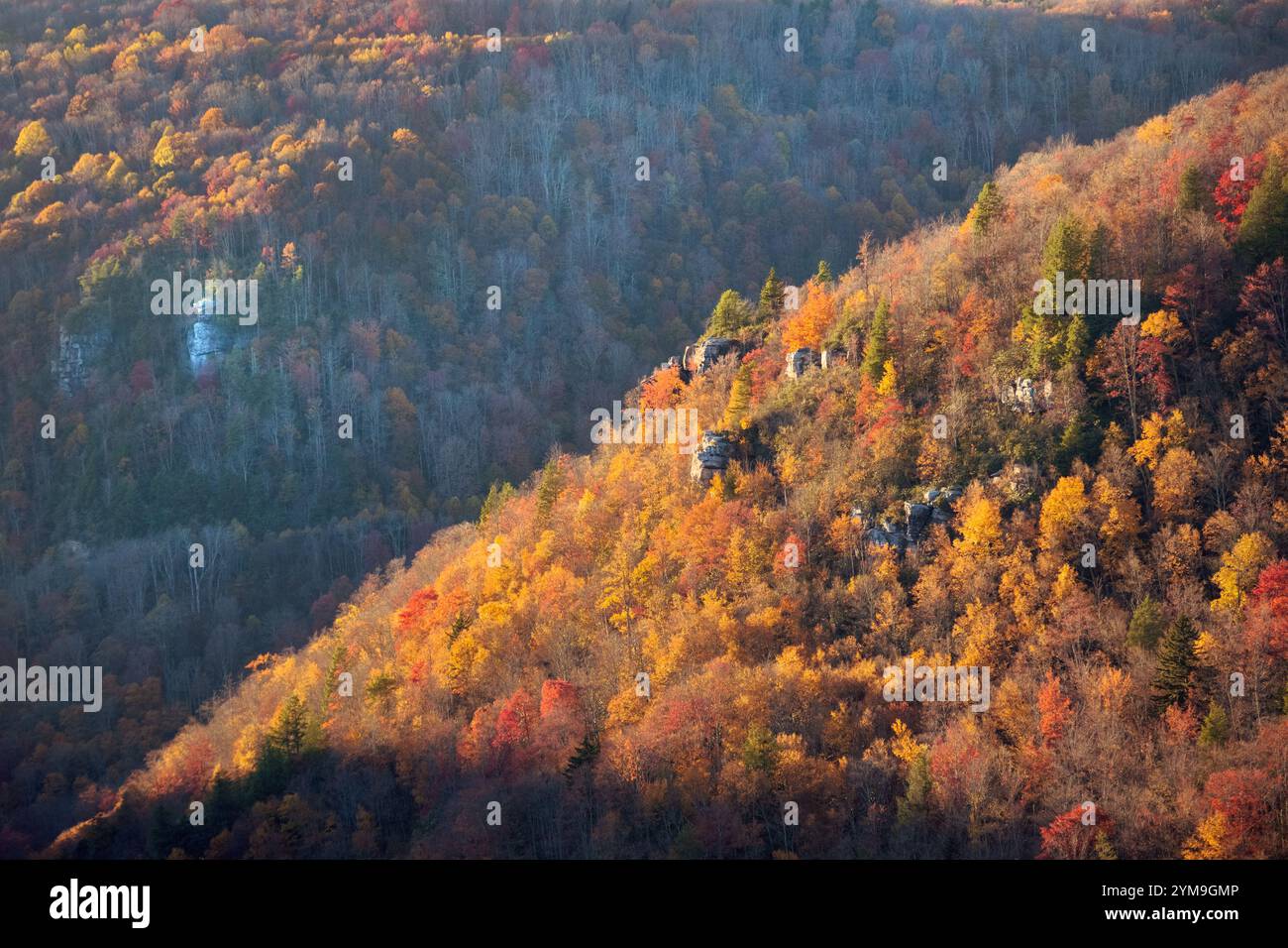 Fall color in Appalachian mountains Stock Photo - Alamy