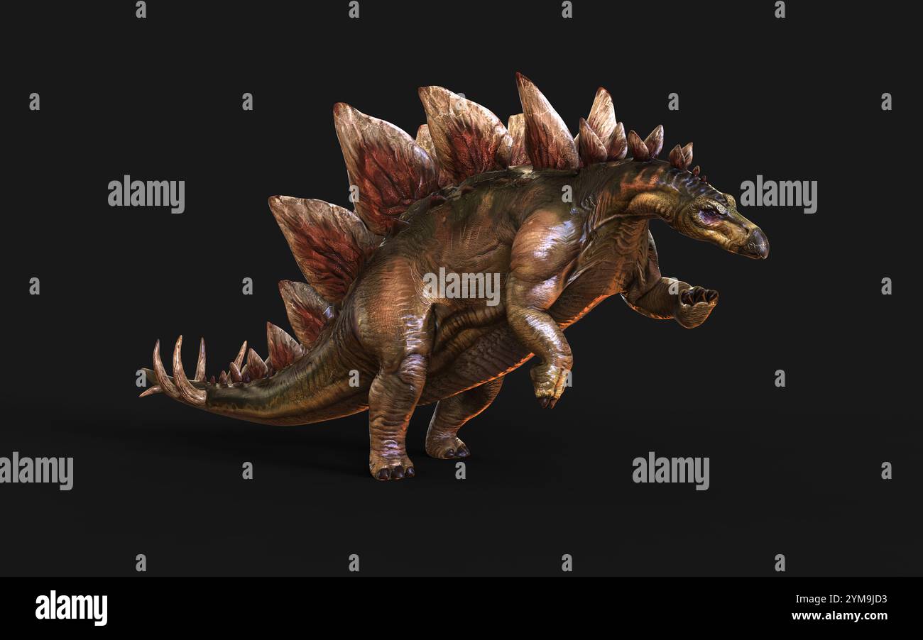 3d illustration of Stegosaurus, was a thyreophoran dinosaur. An herbivore, it is one of the best ...