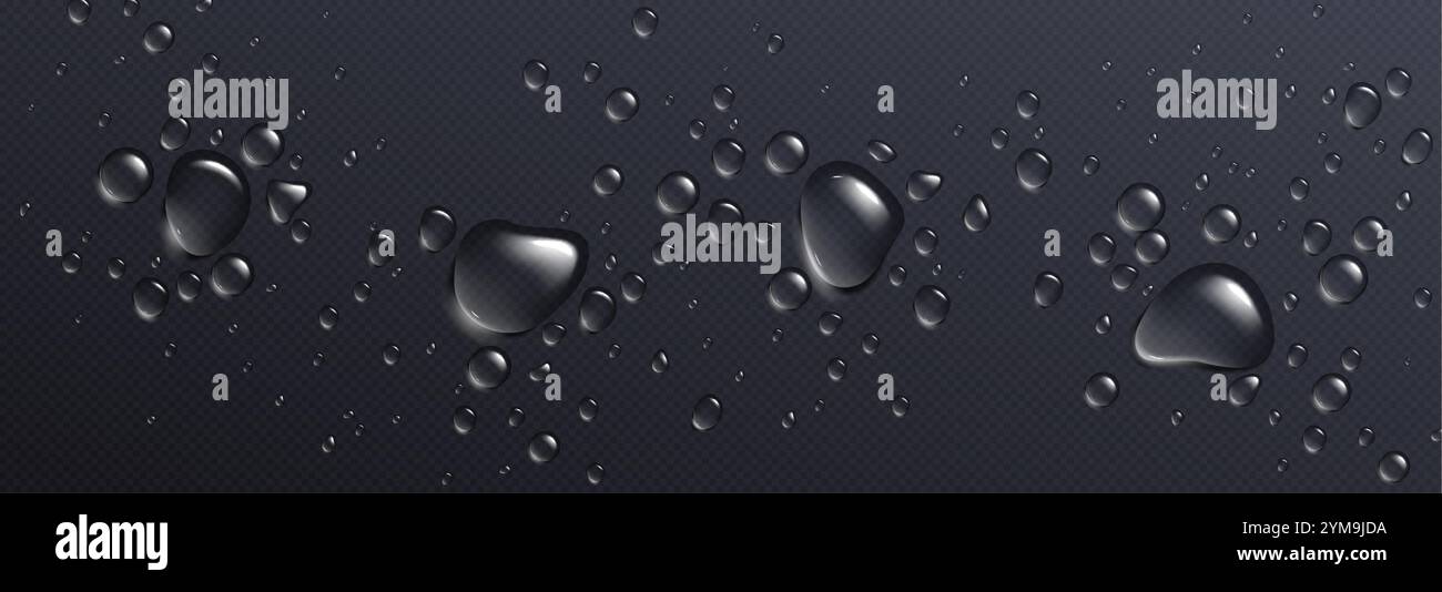 Water drops on transparent background. Vector realistic illustration of ...