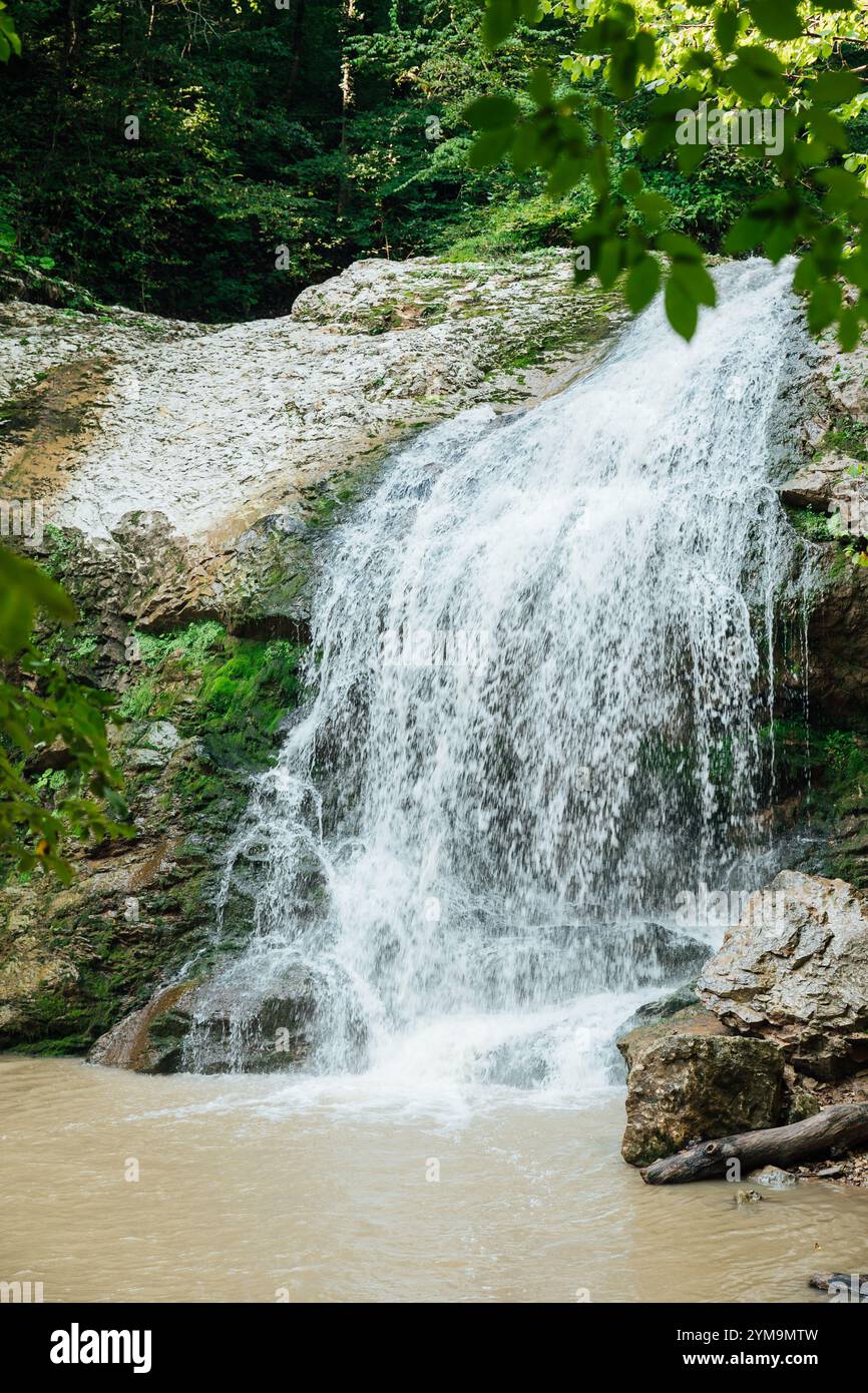 Video tropical green forest water hi-res stock photography and images ...