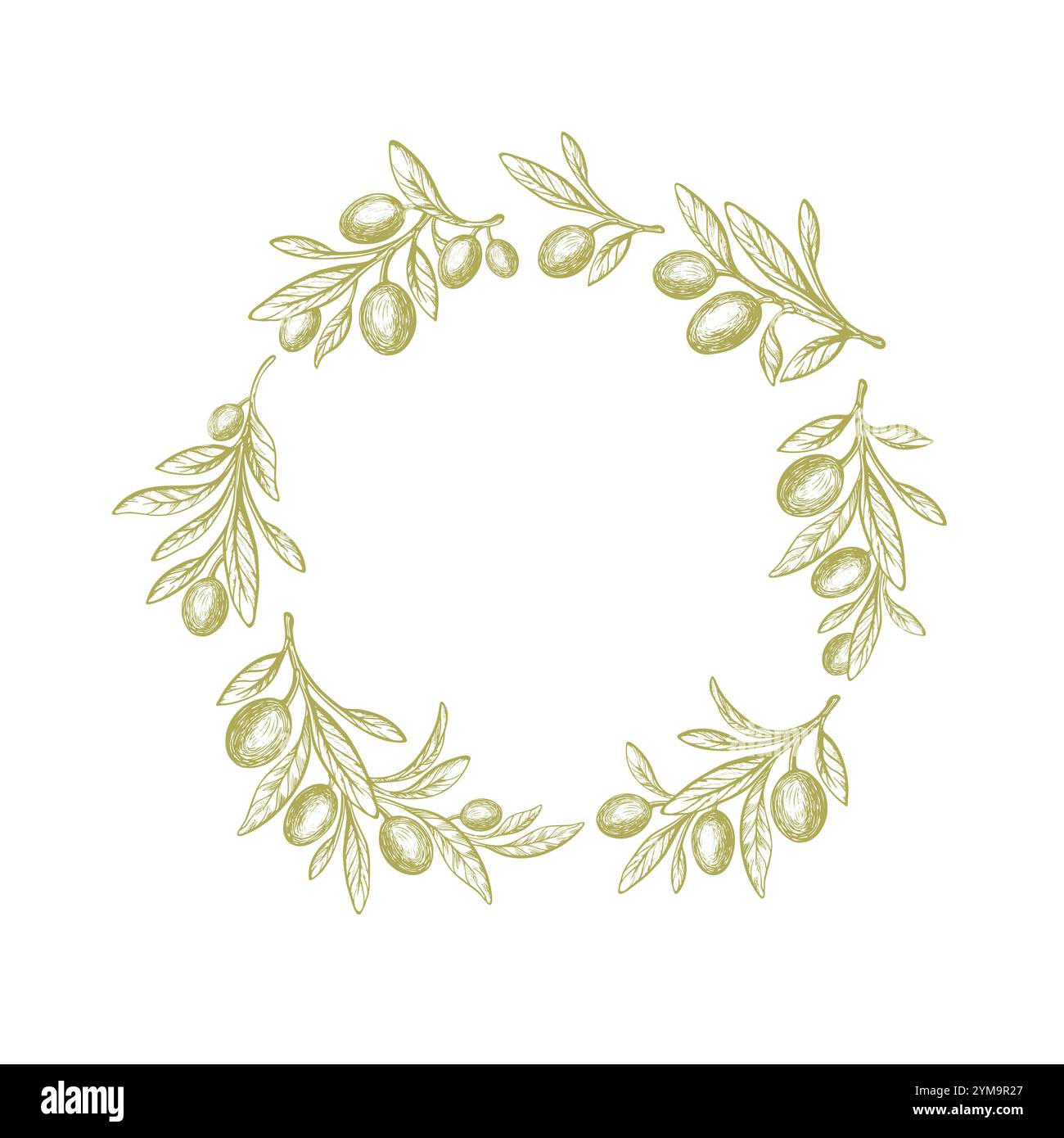 Olive circle pattern. Vector green branch, texture leaves and oil fruit ...
