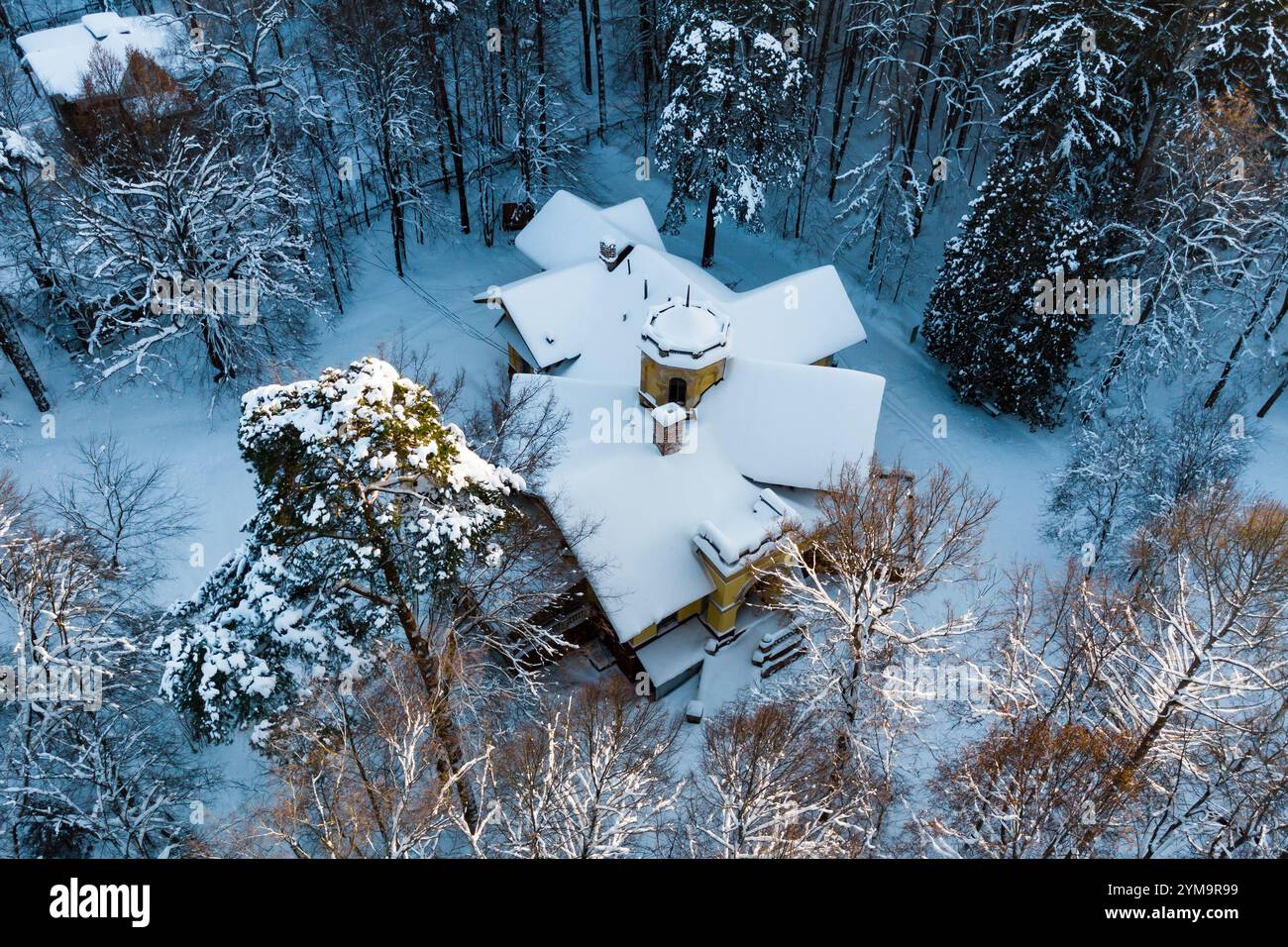 Top view fabulous winter forest hi-res stock photography and images - Alamy