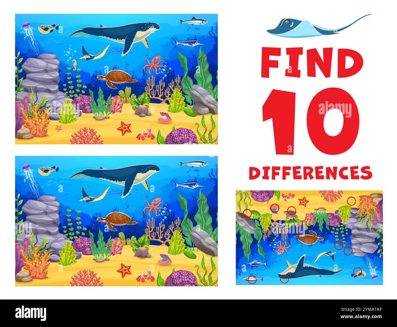 Find tend differences between sea animals. Vector kids game worksheet ...