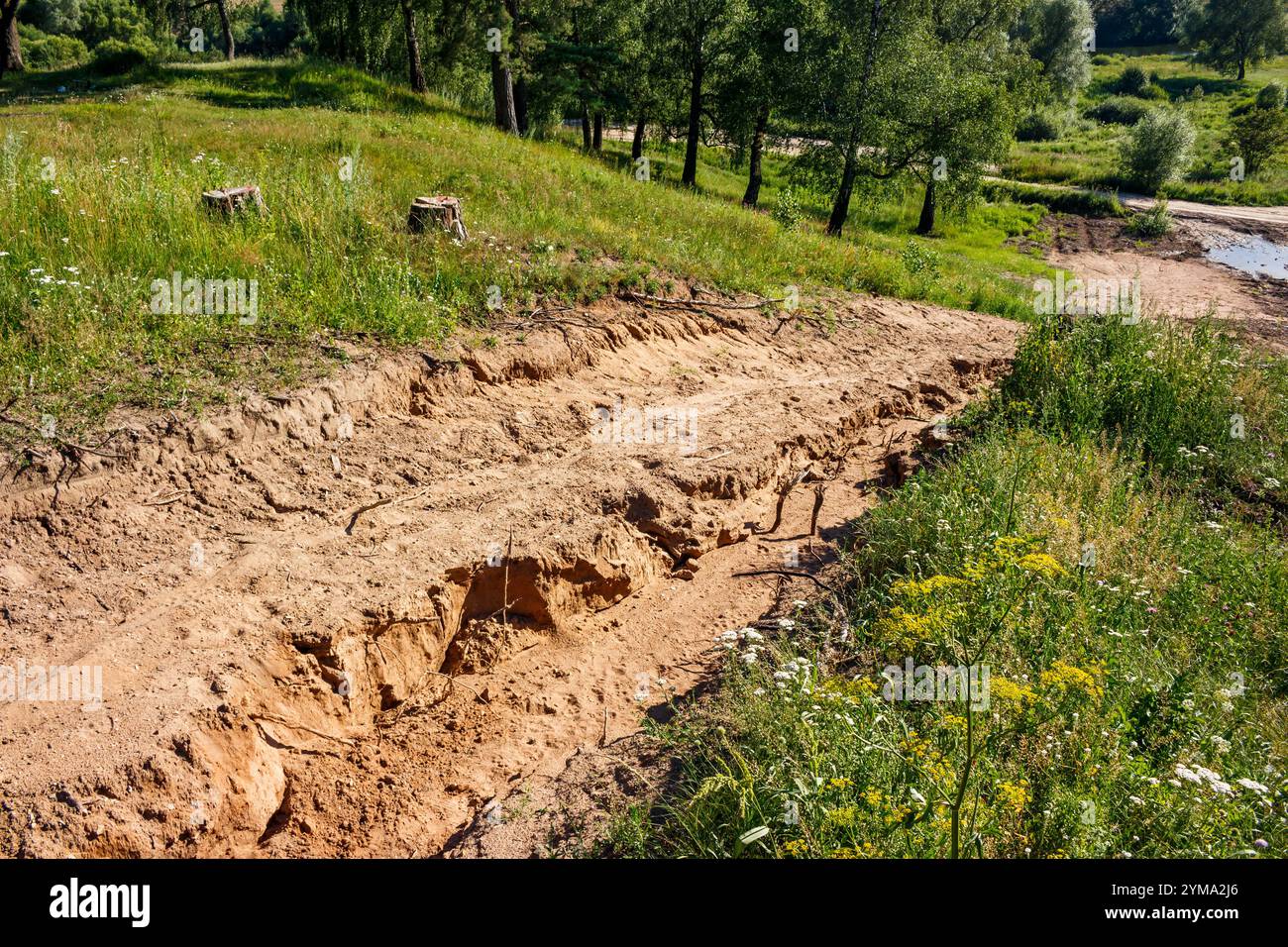 Gully in the ground on a slope, ravine formation in sandy soil, rain ...