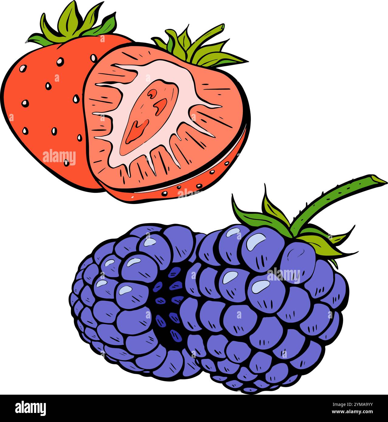 An Exquisite Illustration Featuring Fresh Strawberries and Blackberries ...
