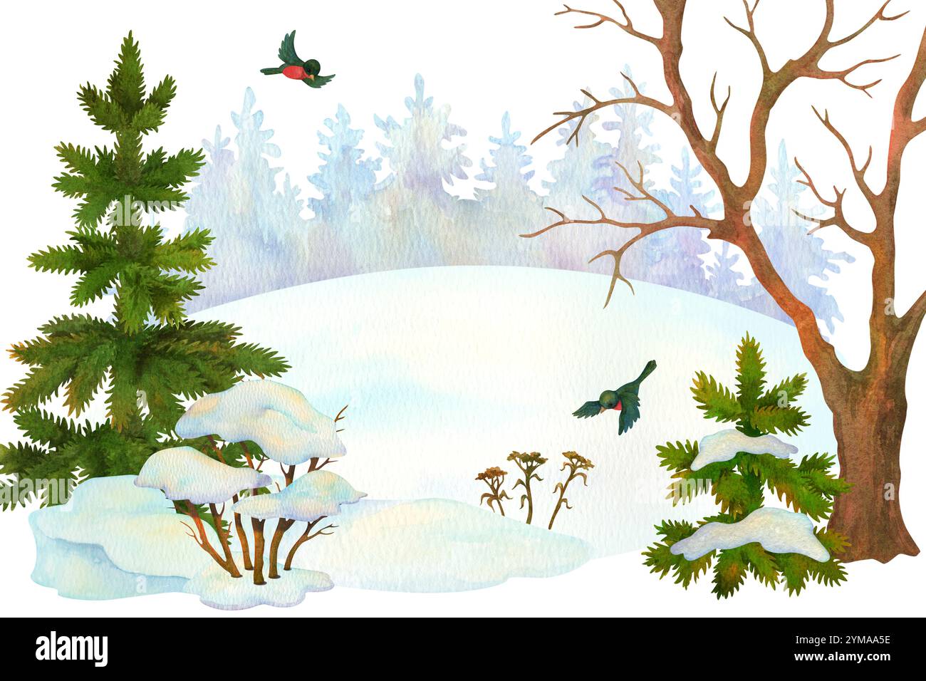 Winter scene. Cartoon landscape. Horizontal composition of conifers ...