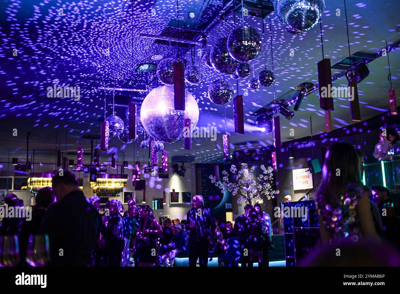 Berlin, Germany. 19th Nov, 2024. Guests at the 30th anniversary ...