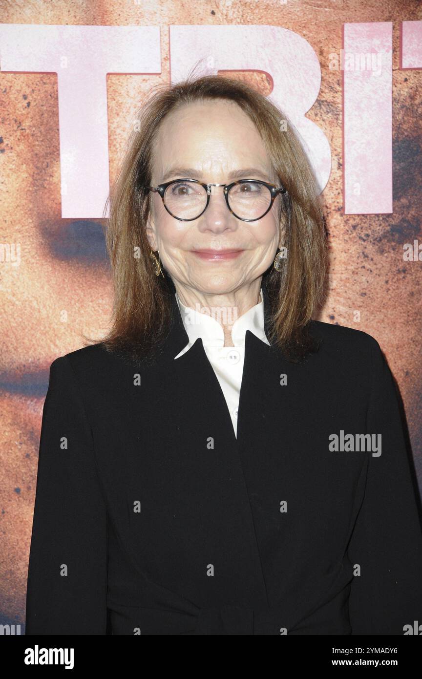 Ca. 20th Nov, 2024. Jessica Harper at arrivals for NIGHTBITCH Premiere ...