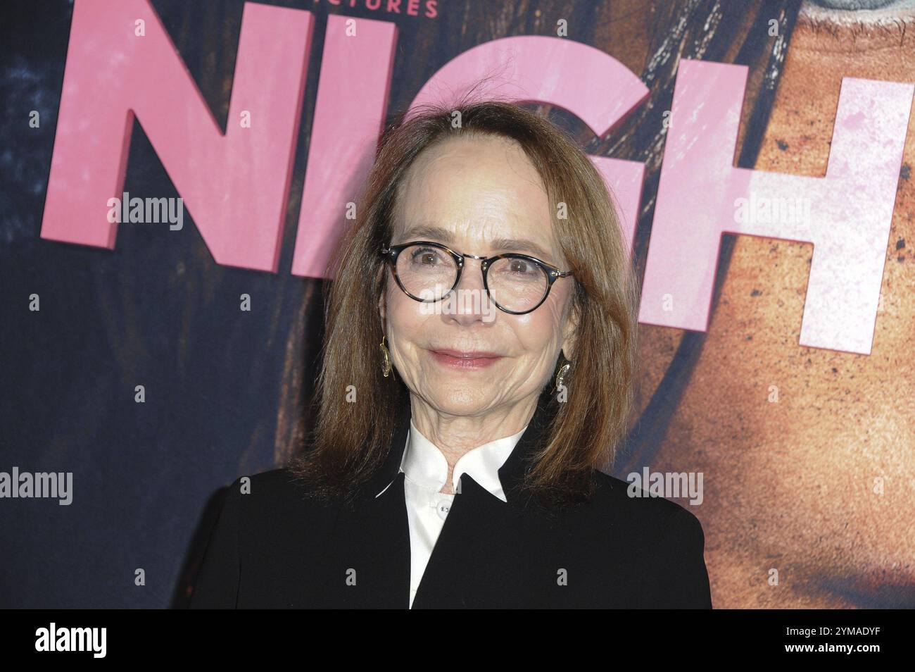 Ca. 20th Nov, 2024. Jessica Harper at arrivals for NIGHTBITCH Premiere ...