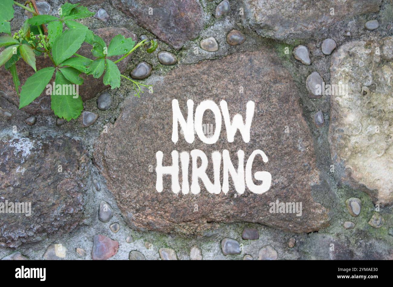 Now Hiring symbol. Concept word Now Hiring on stone wall. Beautiful ...