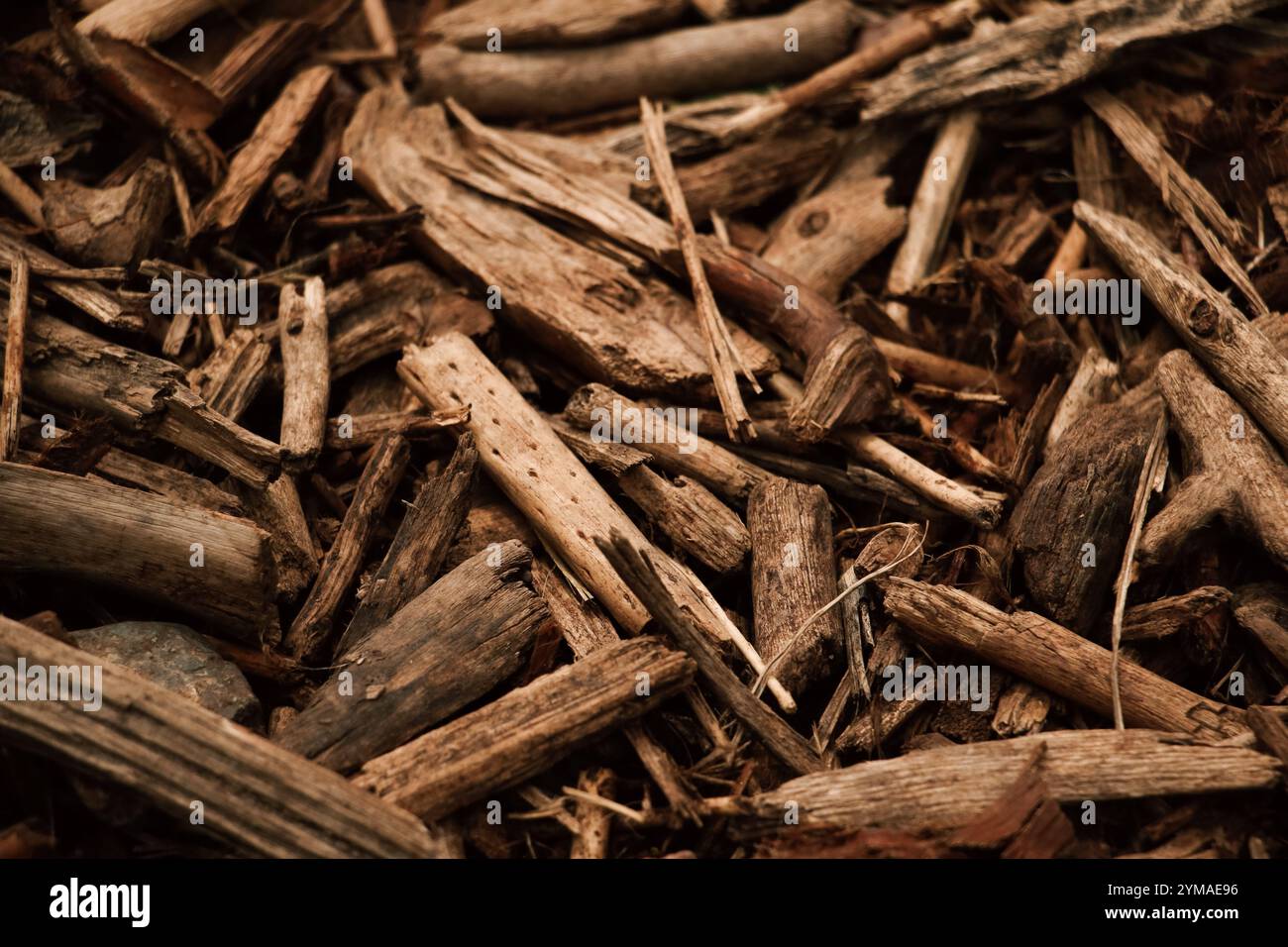 Wood chips, Texture background, Texture background of bark wood chips ...