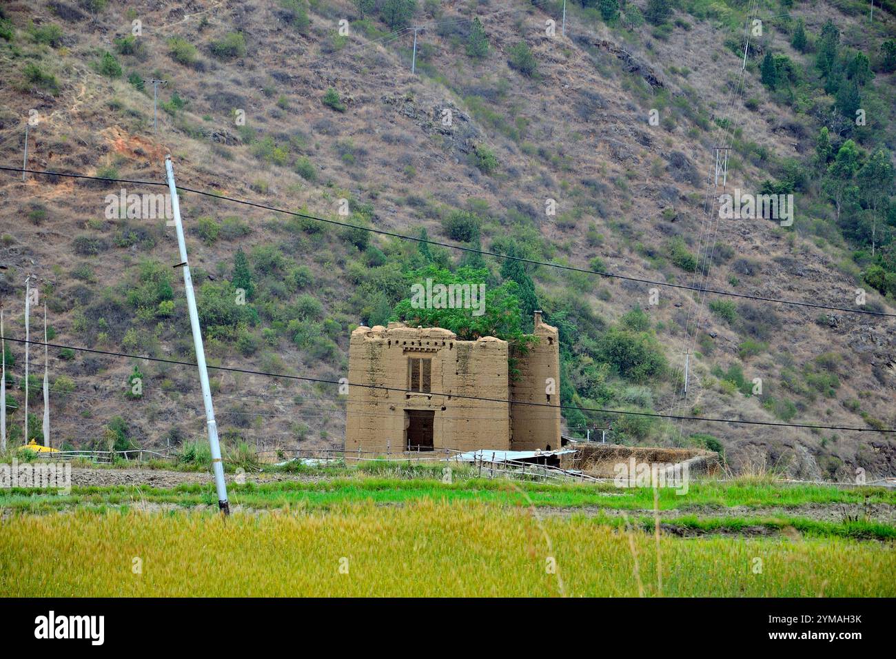 Ruins of an old structure, on the way to Chimi Lhakhang, located near ...