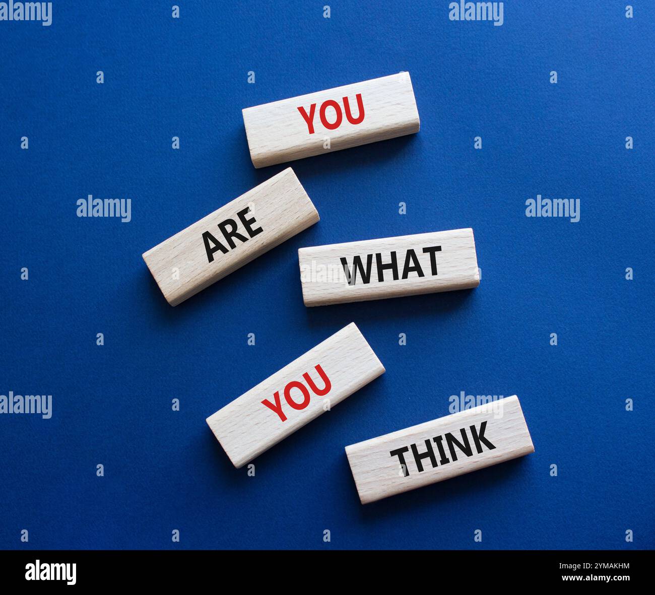 You are what you think symbol. Wooden blocks with words You are what ...