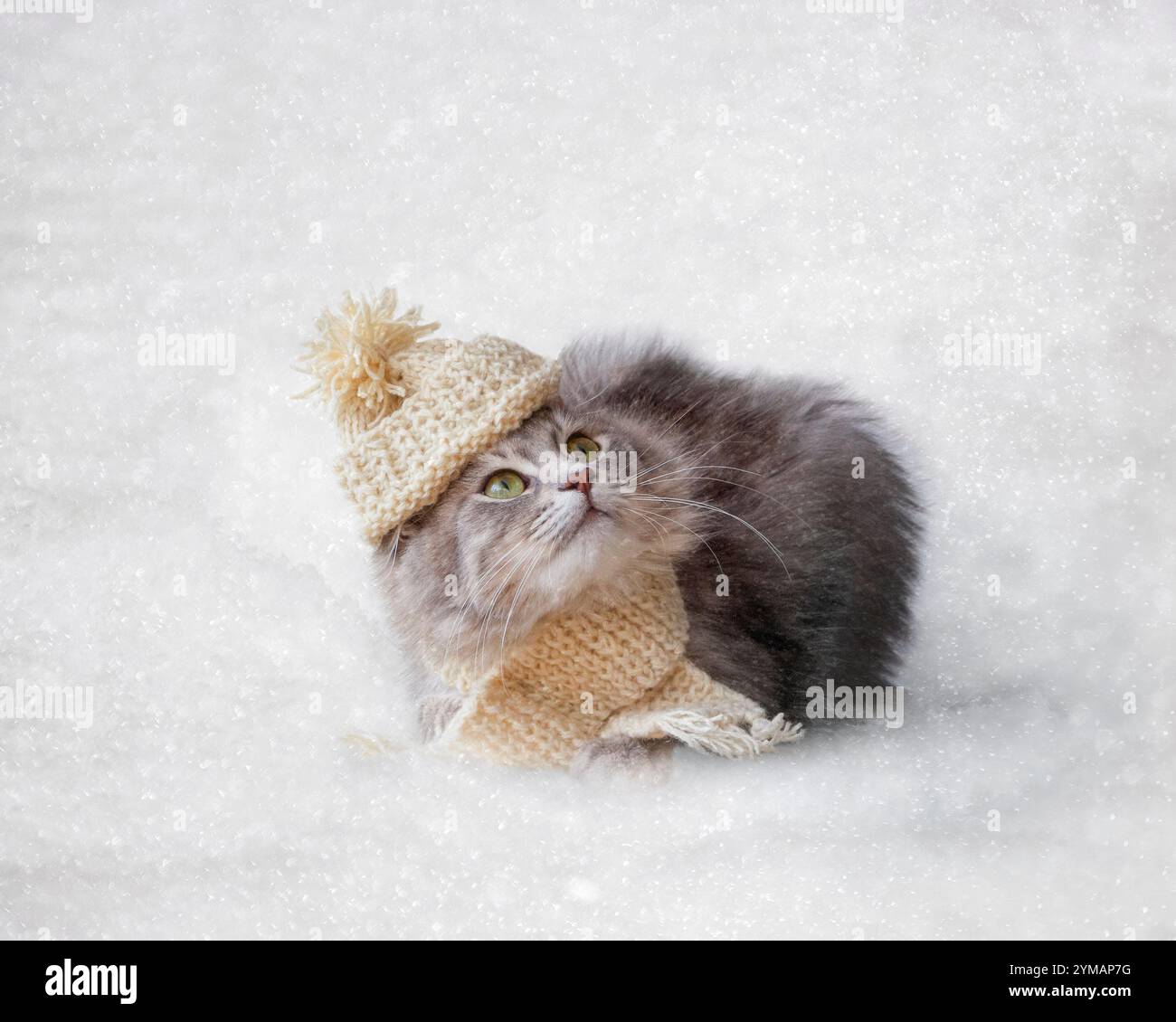 Walking cap hat eyes hi-res stock photography and images - Alamy