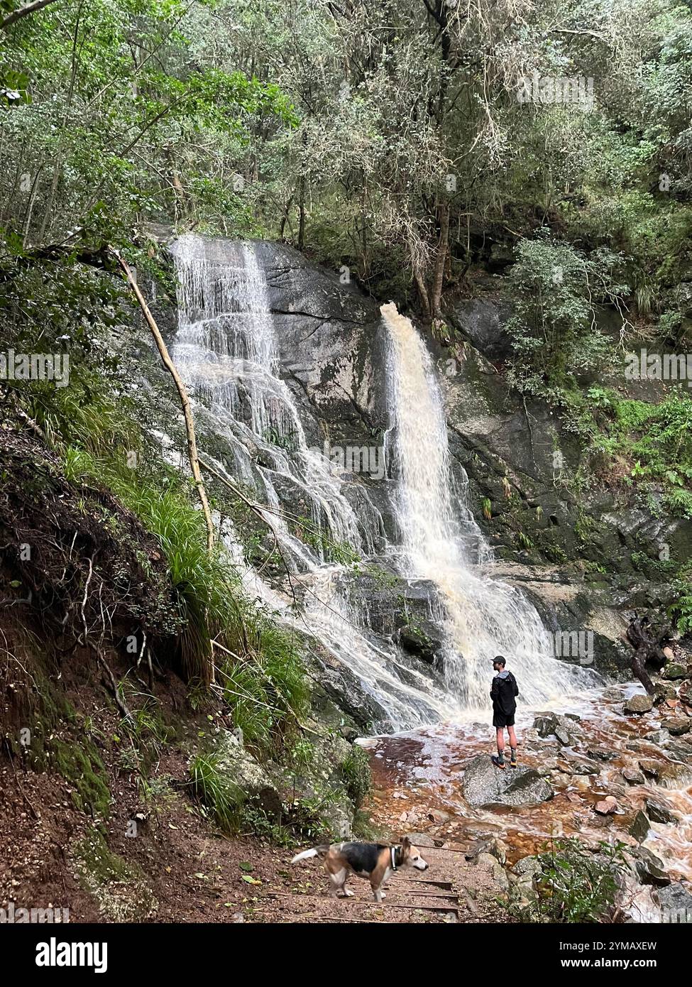 Cape Town waterfalls Stock Photo - Alamy