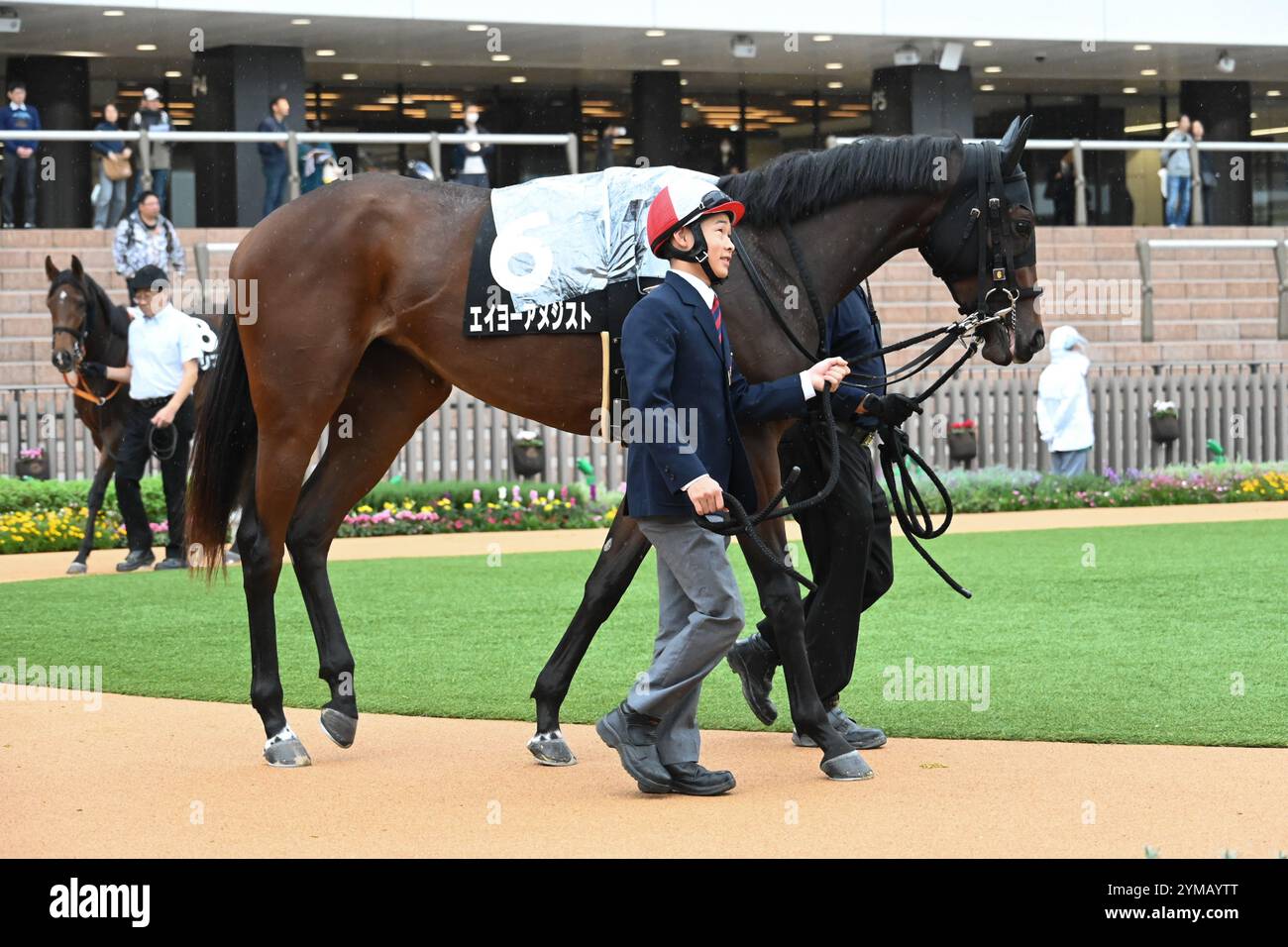 Yo ai hi-res stock photography and images - Alamy