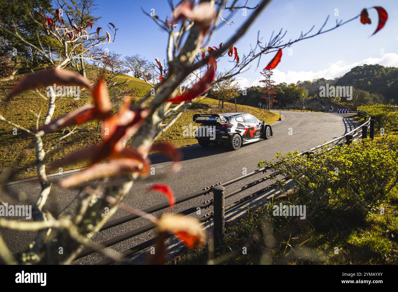 33 EVANS Elfyn, MARTIN Scott, Toyota GR Yaris Rally1, action during the ...