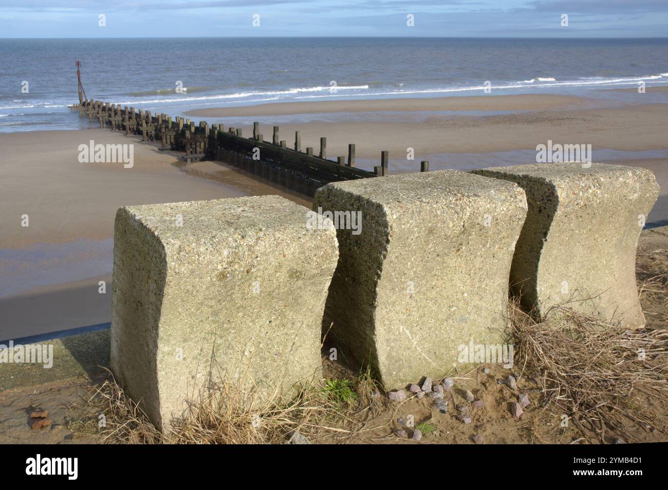Wooden sea defence groyne on a North Norfolk beach, with precast ...