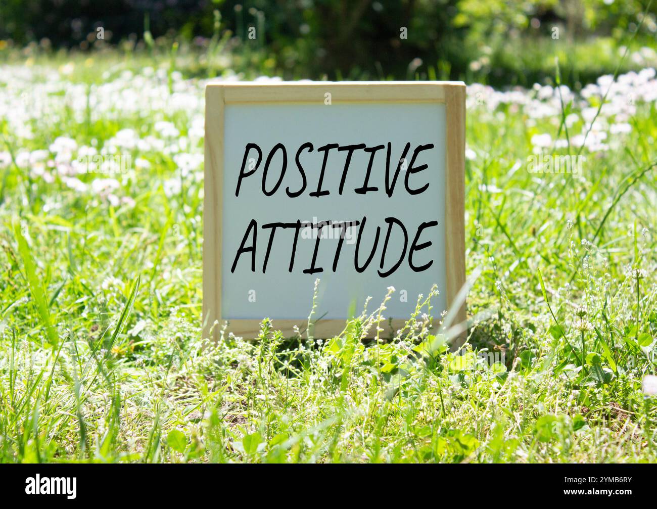 Positive attitude symbol. Concept word Positive attitude on white chalk ...