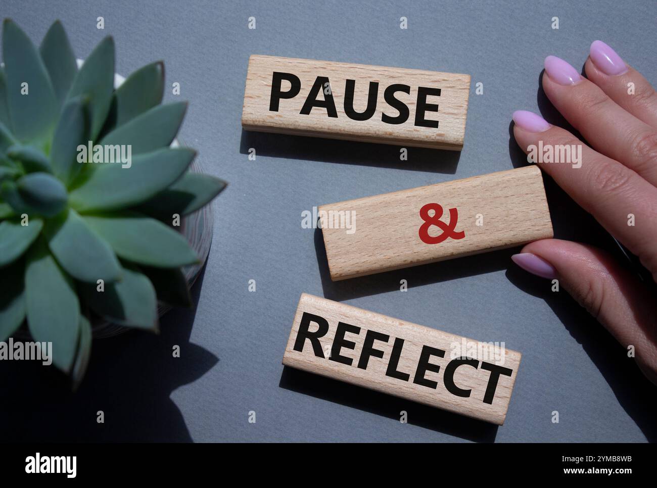 Pause and Reflect symbol. Concept words Pause and Reflect on wooden ...