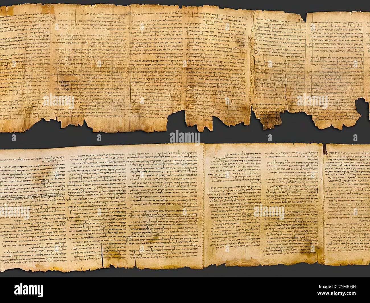 7441. PART OF THE ISAIAH SCROLL, THE LONGEST AND OLDEST (C. 100 B.C ...