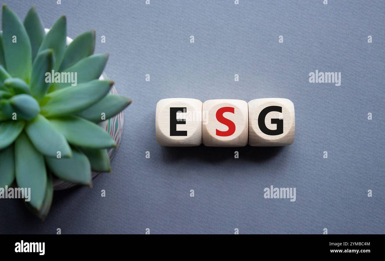 GSG - Environmental, Social and Governance symbol. Concept word GSG on ...