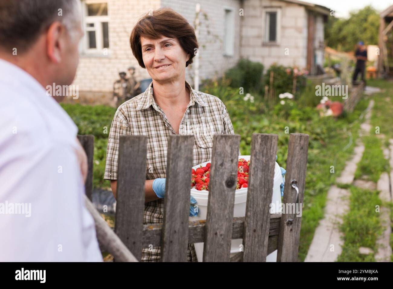 Getting to know the neighbors at the country houses in village Stock ...