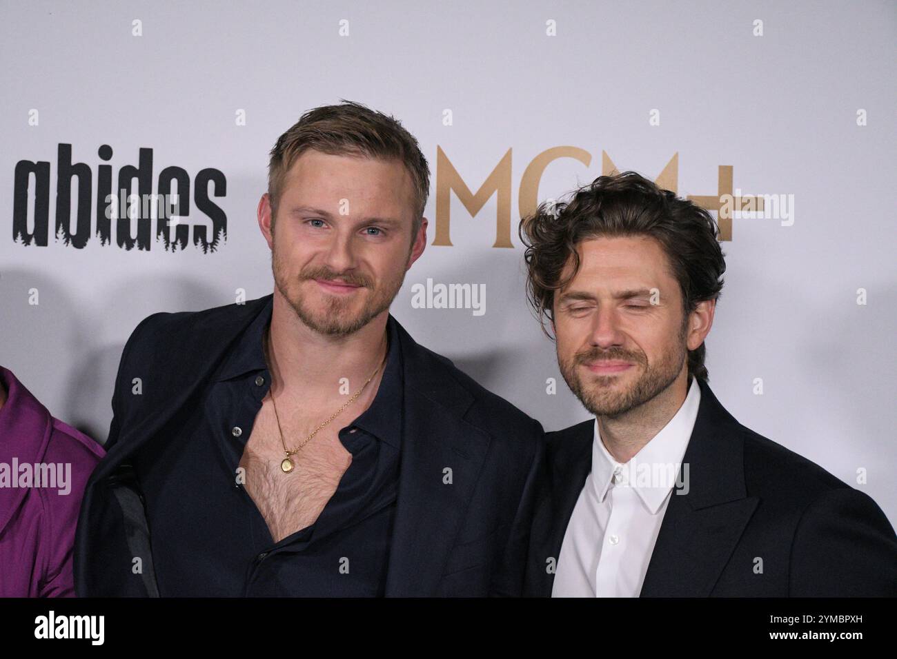 Beverly Hill, California, USA 20th November 2024 Actor Alexander Ludwig ...