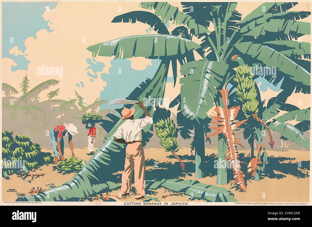 Cutting bananas in jamaica hi-res stock photography and images - Alamy