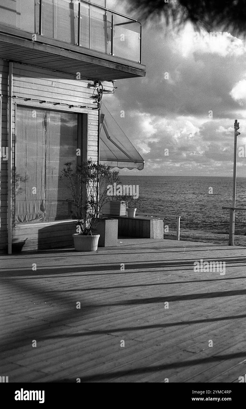 Plants with large Black and White Stock Photos & Images - Alamy