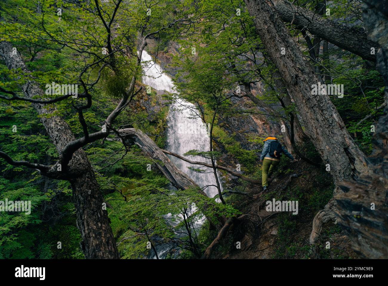 Cascada Velo de Novia Bridal Veil Waterfall in Ushuaia, Patagonia ...