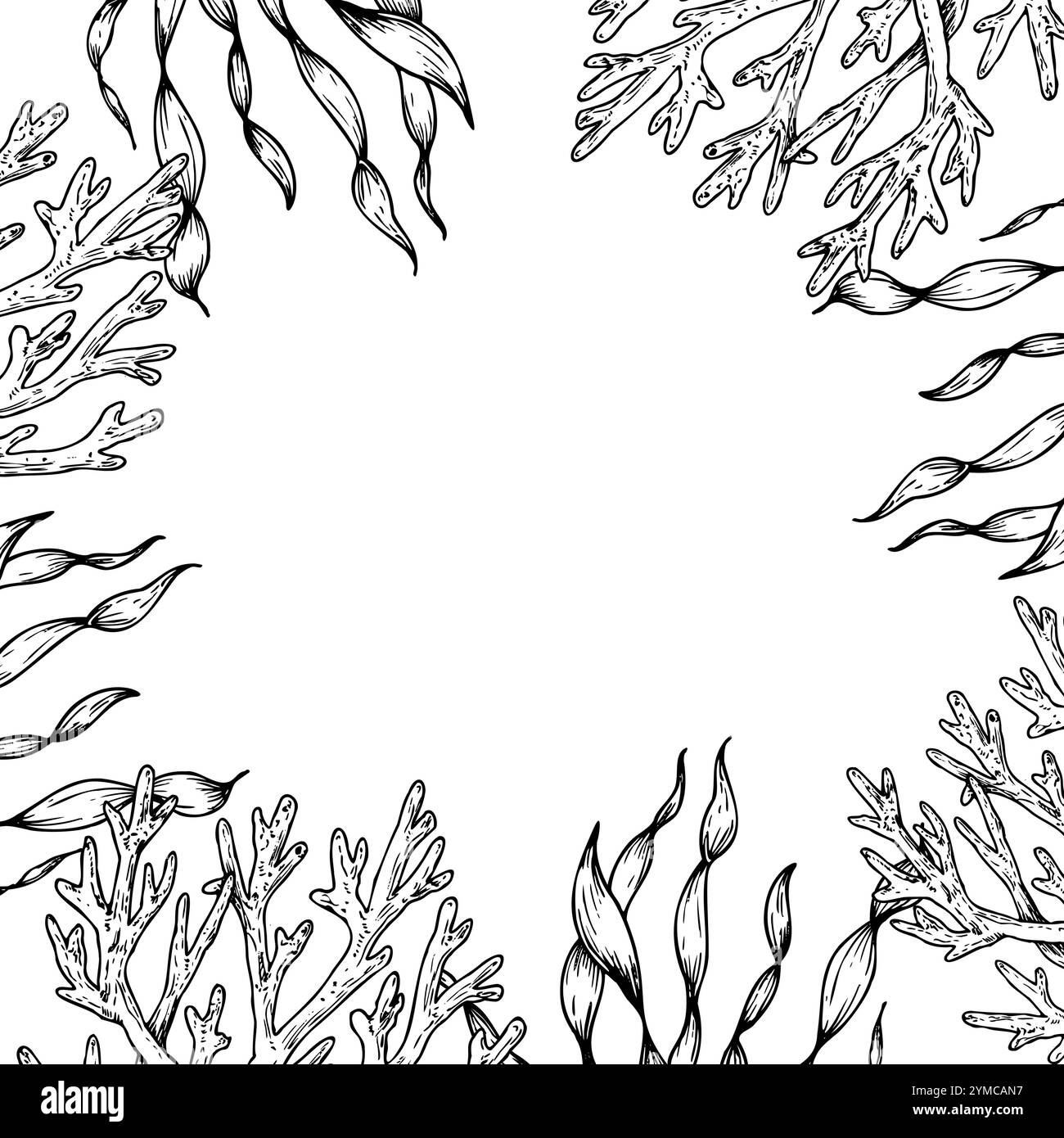Deep sea sea pen Black and White Stock Photos & Images - Alamy