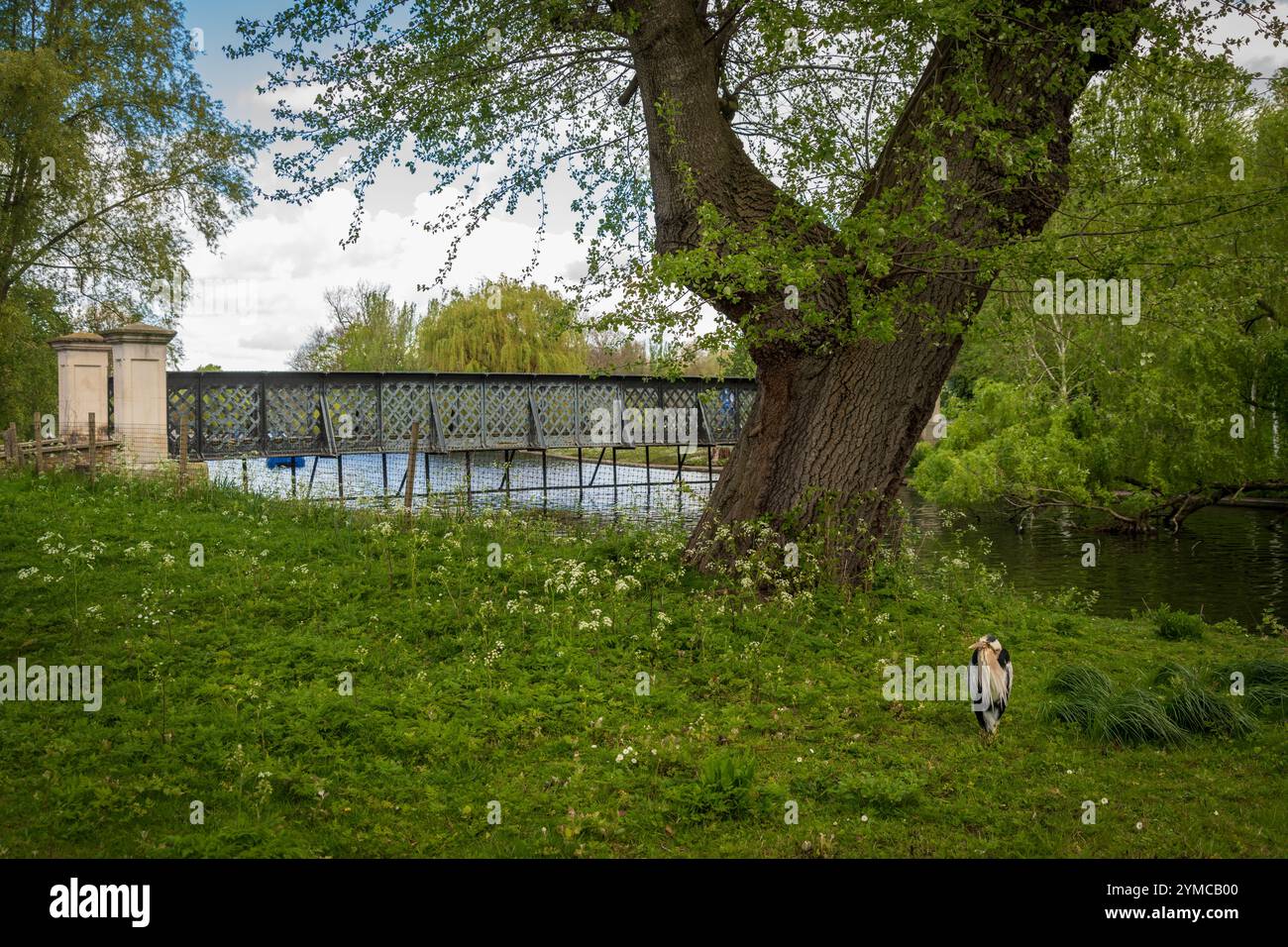 The Regent's Park, one of the Royal Parks of London, UK Stock Photo - Alamy