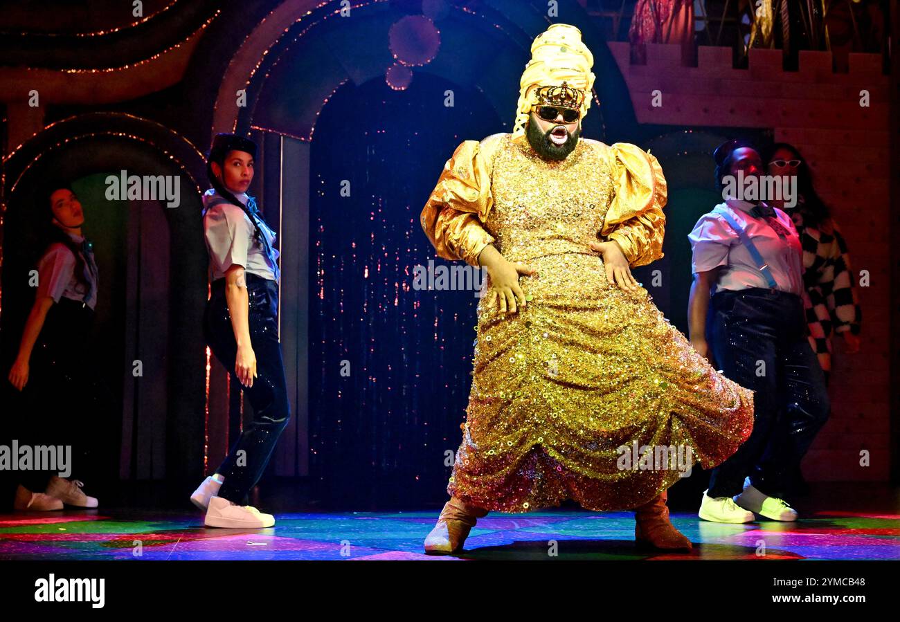 London, UK. 20th Nov, 2024. The cast of the new 'Aladdin' pantomime ...