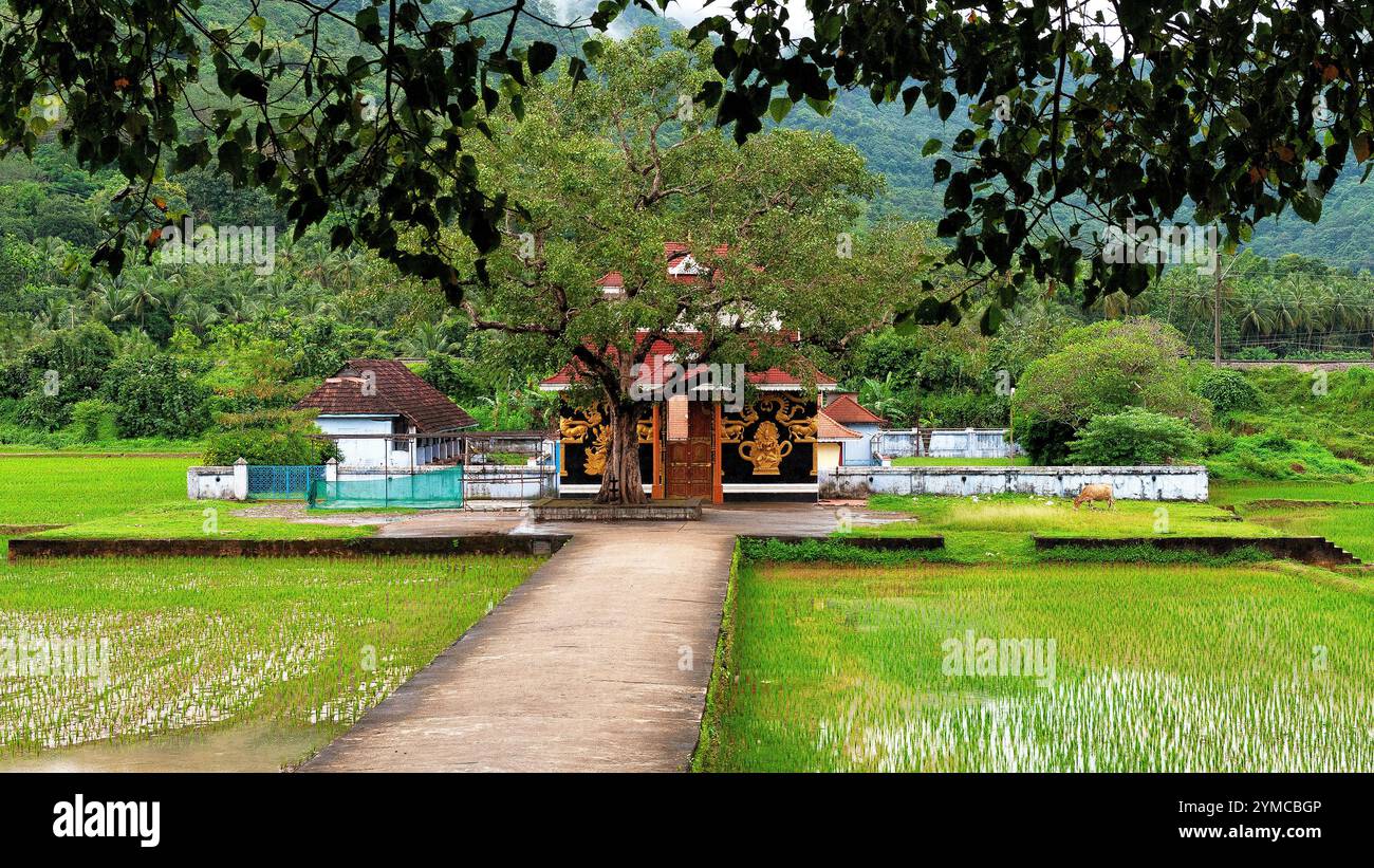 Peaceful rural kerala hindu temple hi-res stock photography and images ...