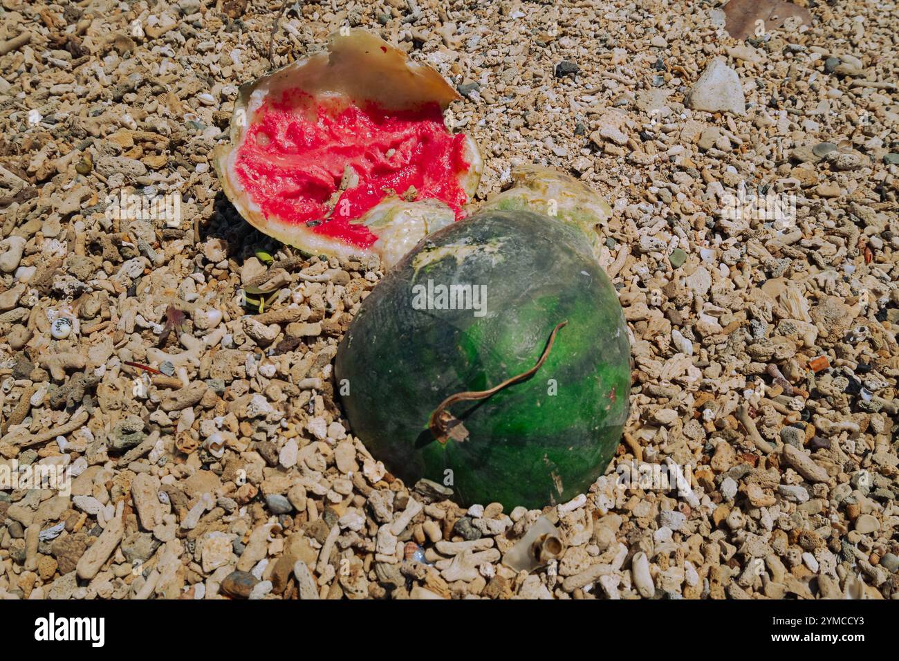 A melon that is split in half and rotting on the beach Stock Photo - Alamy