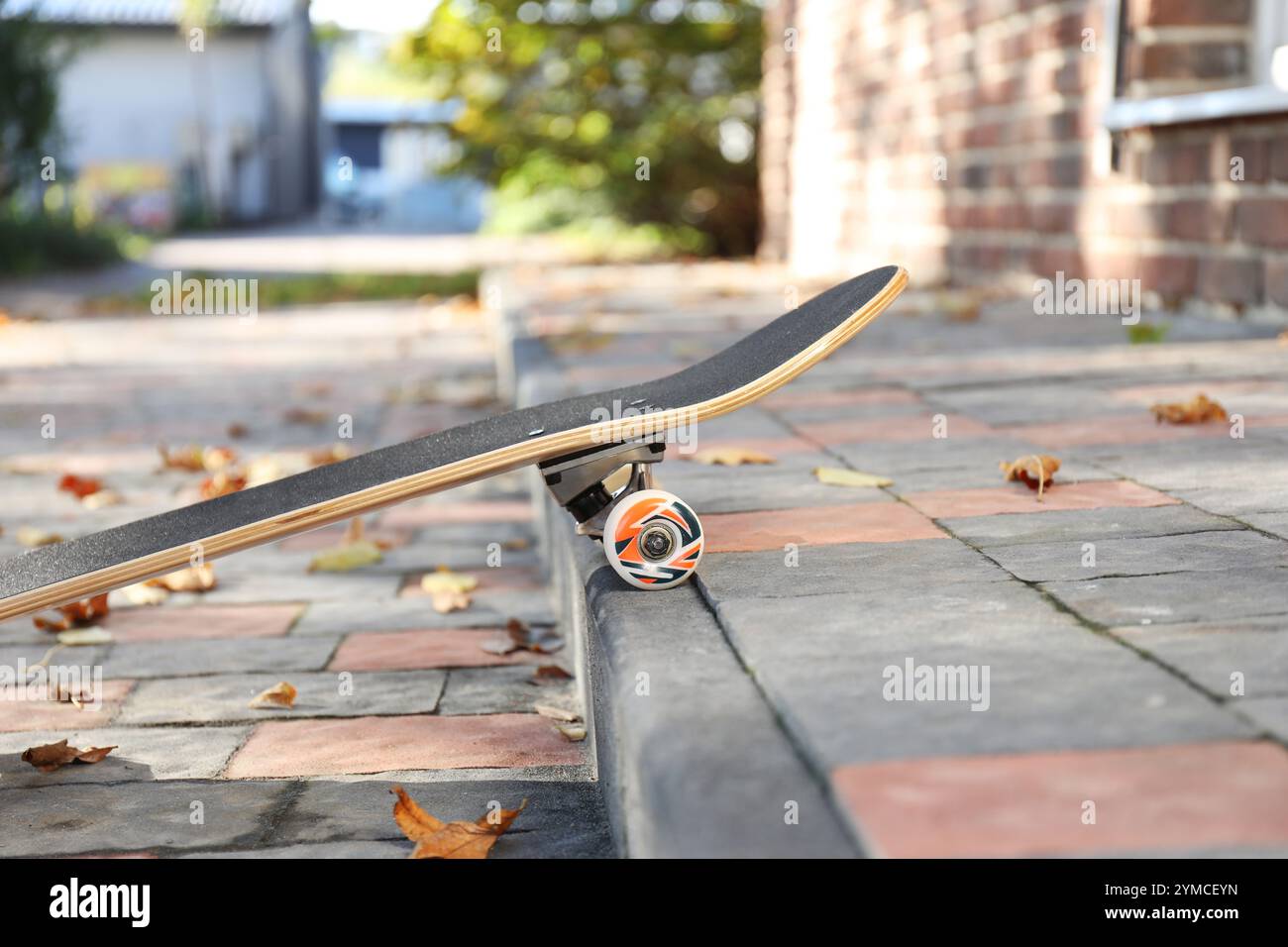 One modern skateboard on paved pathway outdoors, closeup Stock Photo ...