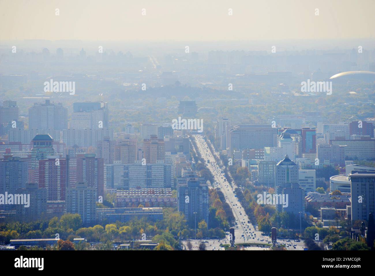 Beijing, China. 21st Nov, 2024. BEIJING, CHINA - NOVEMBER 21, 2024 ...