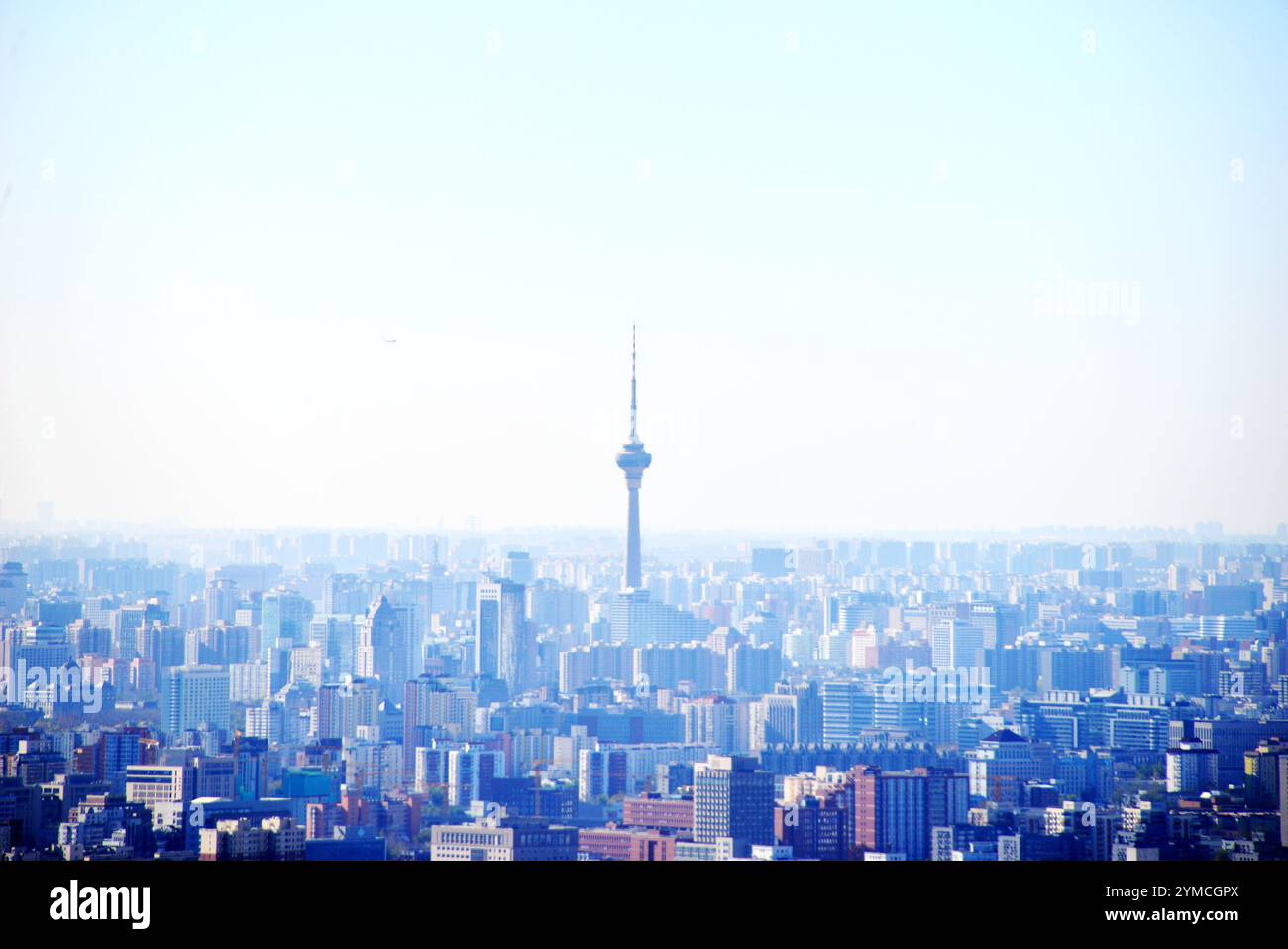 Beijing, China. 21st Nov, 2024. BEIJING, CHINA - NOVEMBER 21, 2024 ...