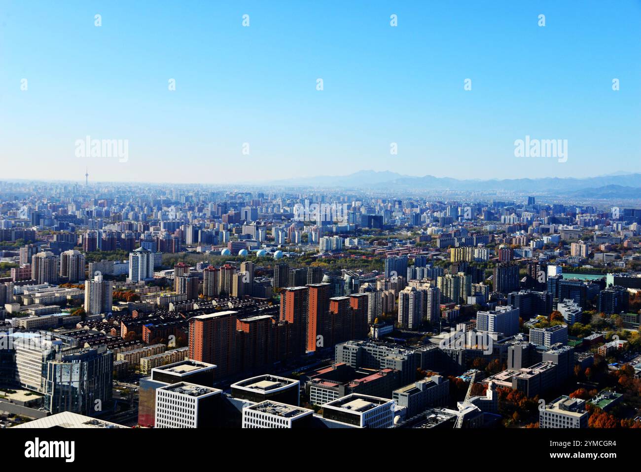 Beijing, China. 21st Nov, 2024. BEIJING, CHINA - NOVEMBER 21, 2024 ...