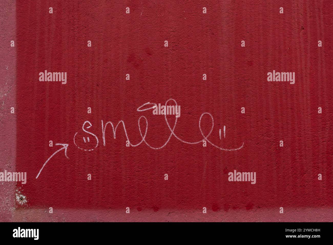 Graffiti scrawled on a red painted wall in Newquay town centre in ...