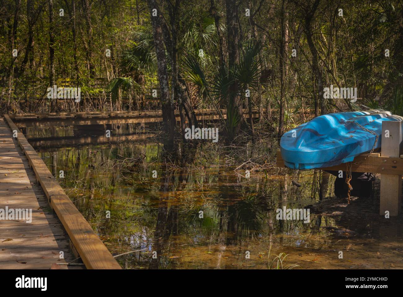 Tampa Florida Scenic View water feature nature park preservation Stock ...