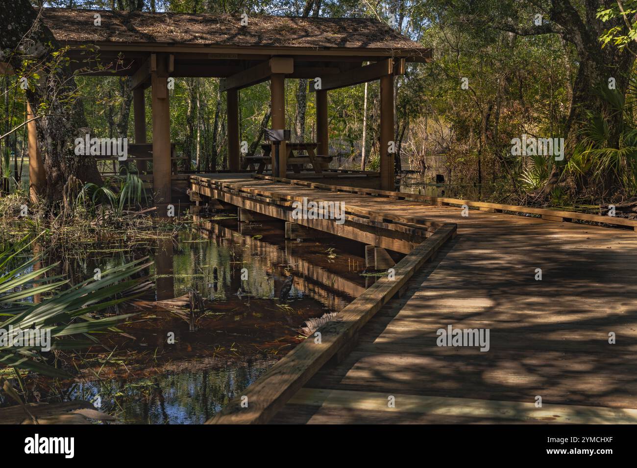 Tampa Florida Scenic View water feature nature park preservation Stock ...