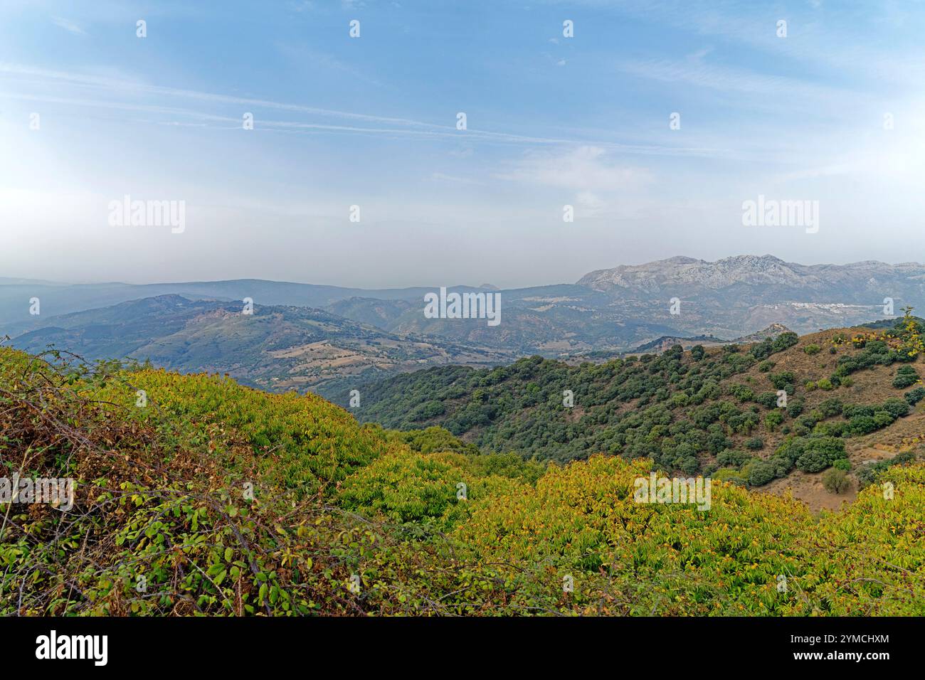 Estacion mirador hi-res stock photography and images - Alamy
