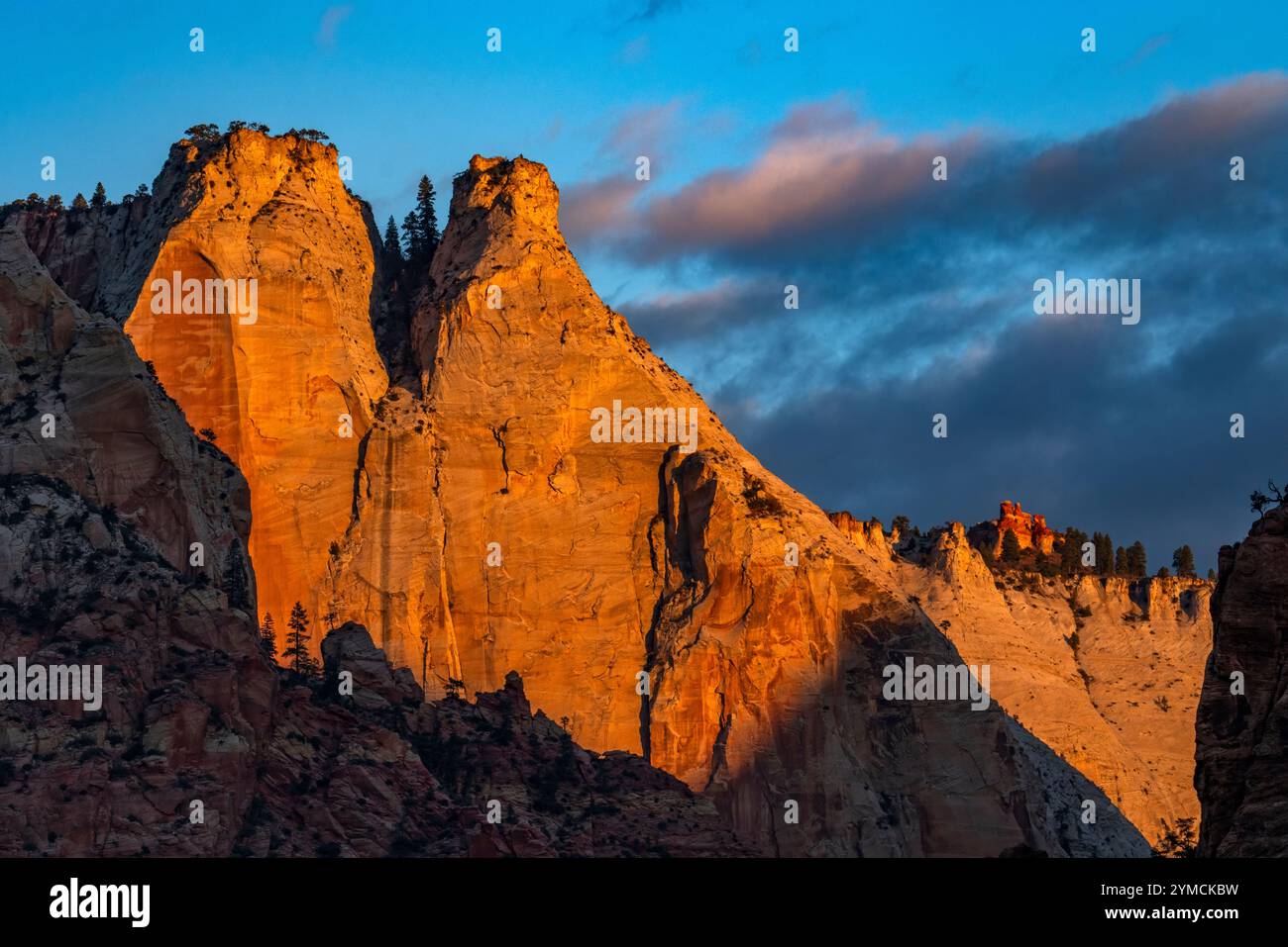 Red rocks in Bryce Canyon National Park in sunlight Stock Photo - Alamy
