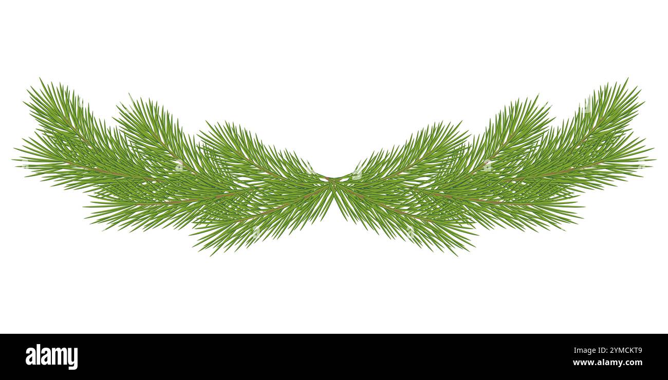 Evergreen fir forest on Stock Vector Images - Alamy