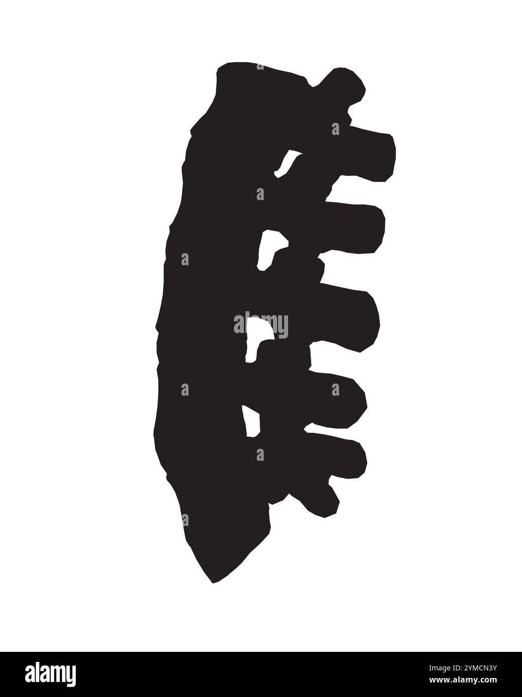 Human body front back drawing vector hi-res stock photography and ...